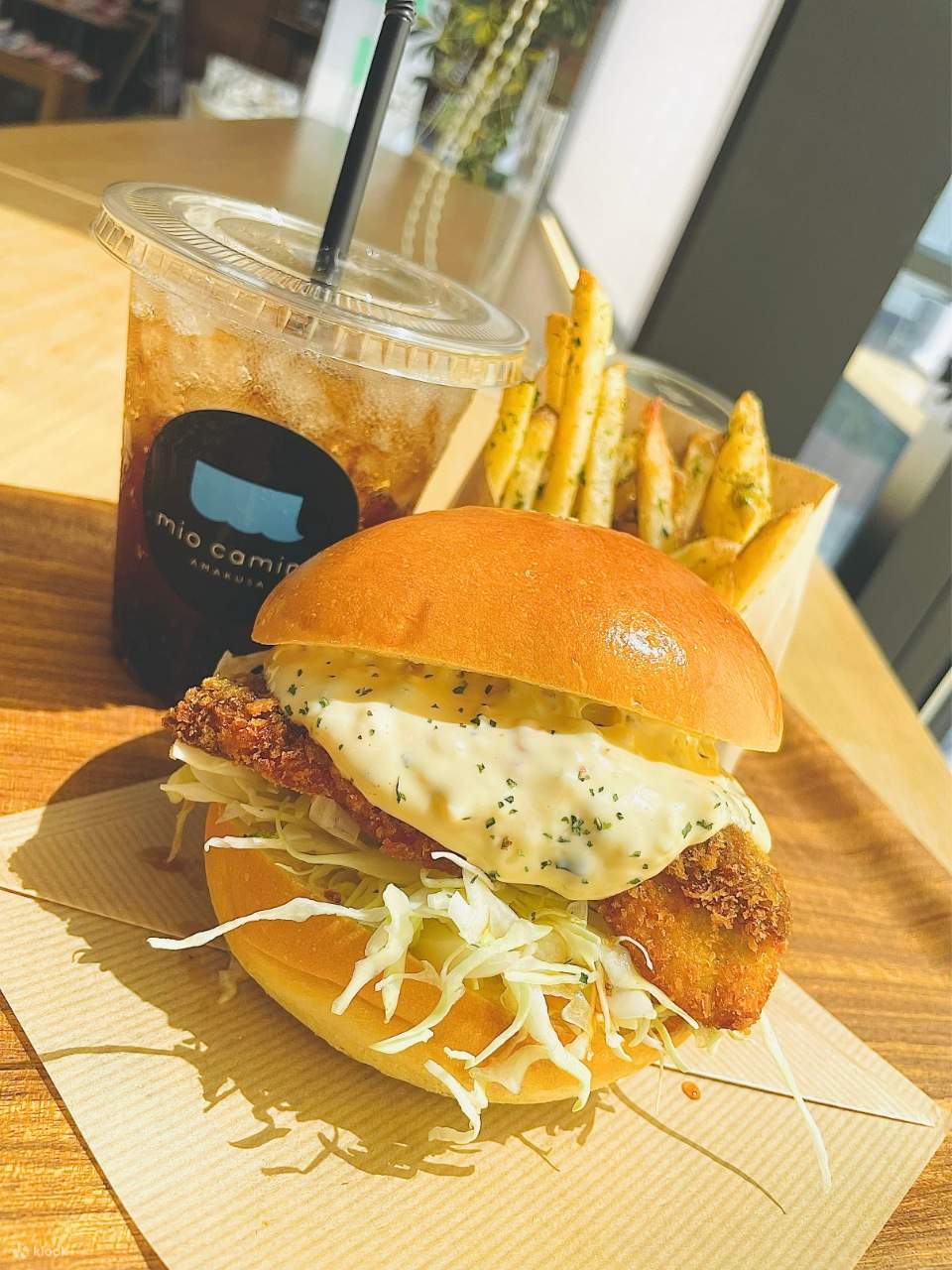 [Depart from Kumamoto] Amakusa Wild Dolphin Watching and Juicy Burger ...